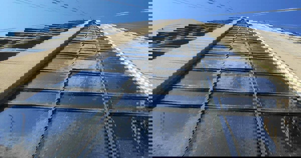 Weather Testing | Build Check